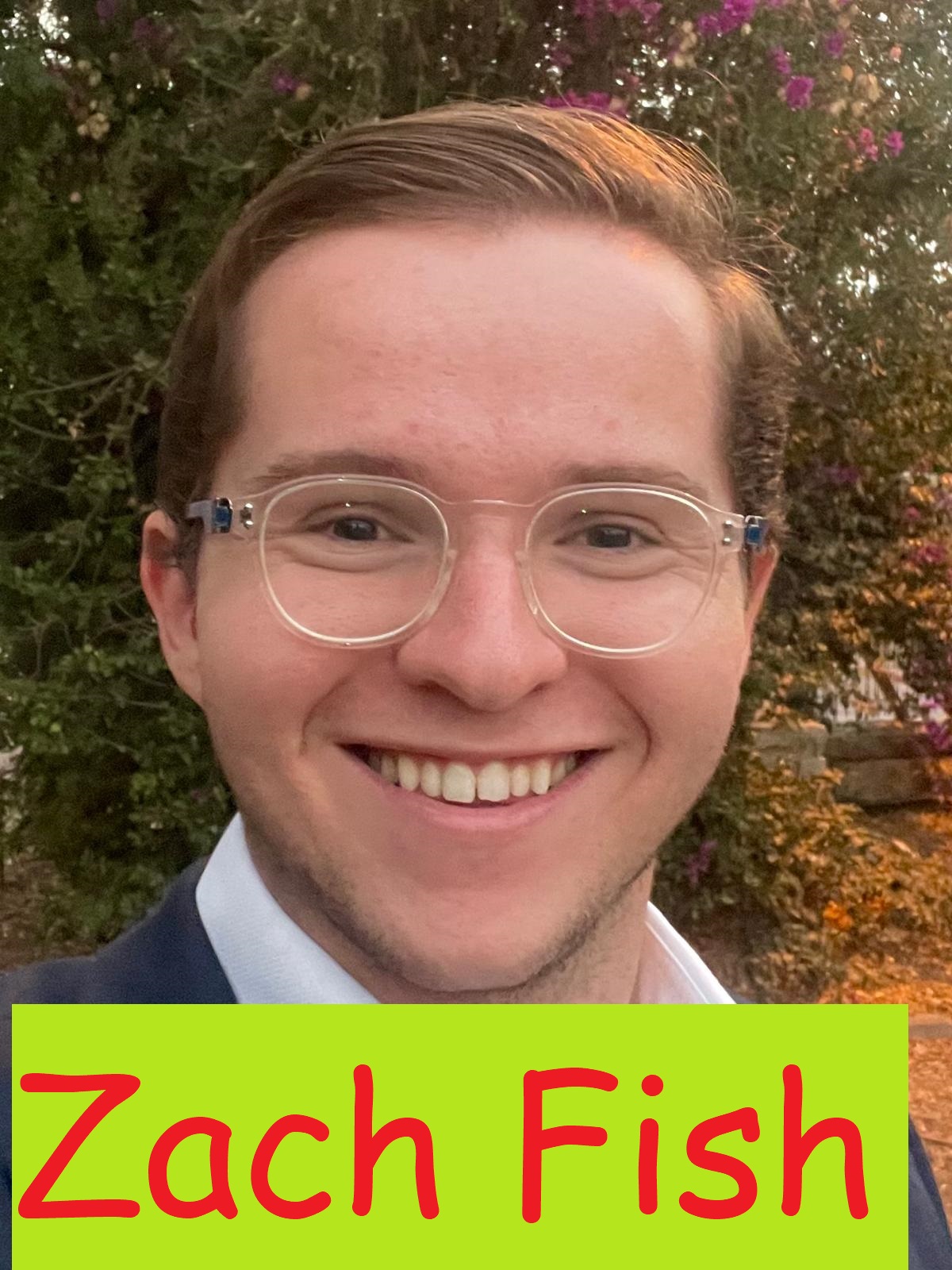 Current pictures - תמונות עדכניות